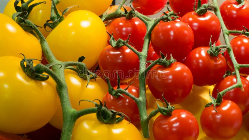 Tomates rouges et jaunes photo stock. Image du frais - 49187530