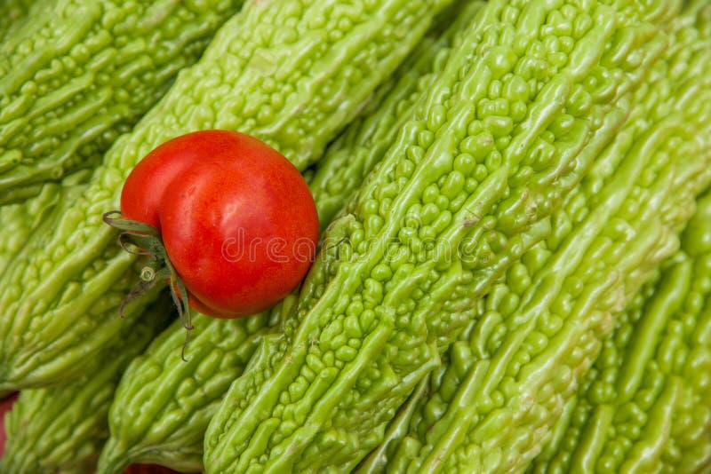 Tomates Y Comida Amarga De La Fruta Y Verdura ---- Foto de archivo ...