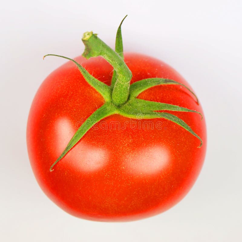 Tomato stock image. Image of closeup, healthy, colorful - 10885711