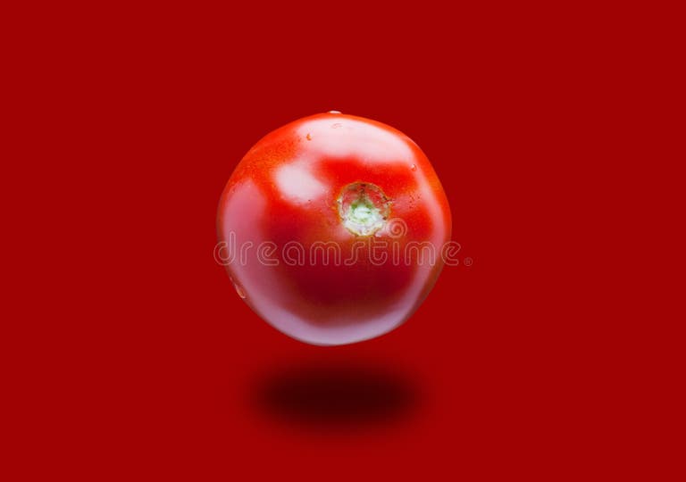 Spot Light Tomato Color Stock Photos - Free & Royalty-Free Stock Photos ...