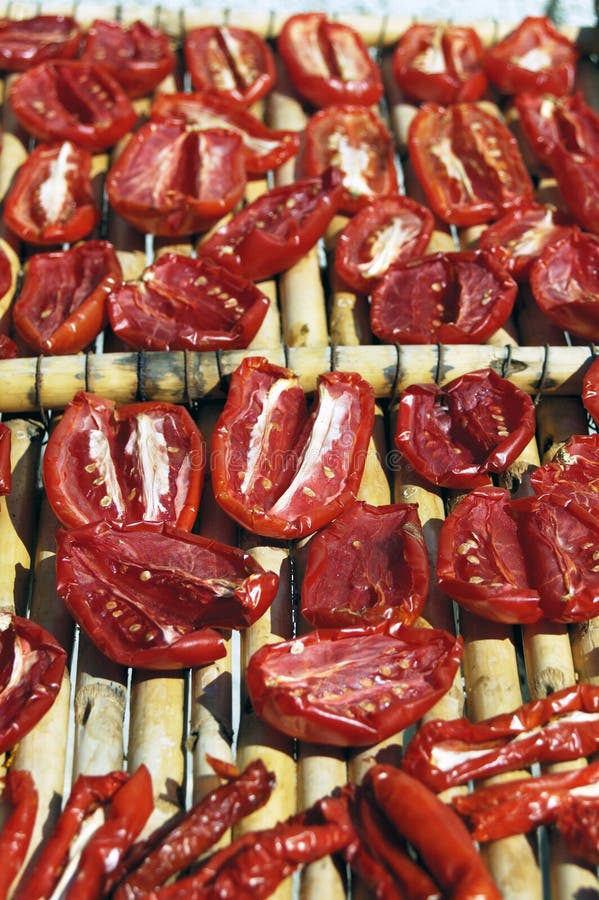 Drying tomatoes in Apulia stock image. Image of tomatoes - 6174159