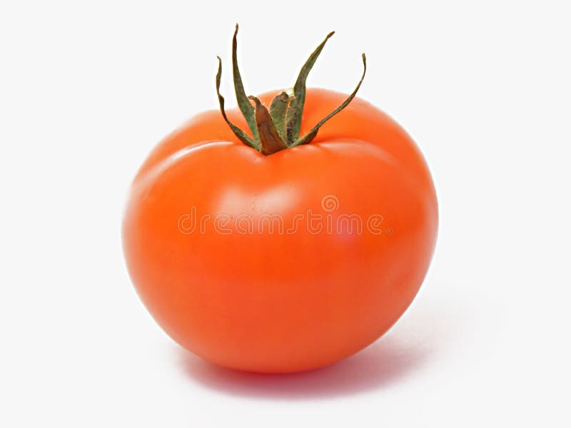 One Tomato stock photo. Image of delight, macro, culinary - 18271170