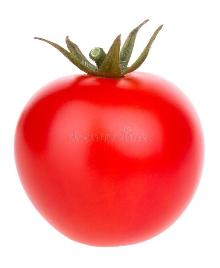Tomato stock photo. Image of isolated, fresh, ingredients - 58600