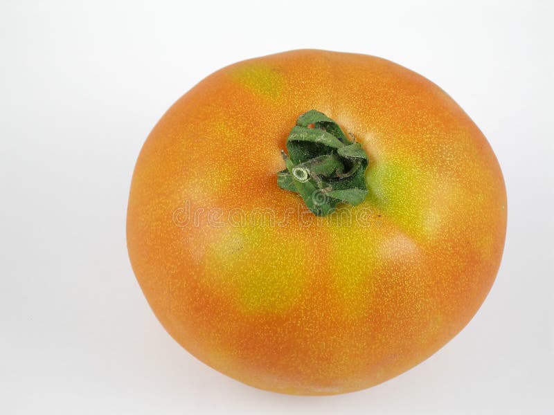 Tomato stock photo. Image of salad, vegetable, ripen, fruit - 194636