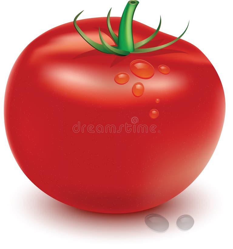 Tomato Shiny Stock Illustrations – 9,789 Tomato Shiny Stock ...