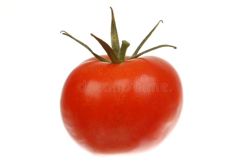 One Tomato stock photo. Image of delight, macro, culinary - 18271170