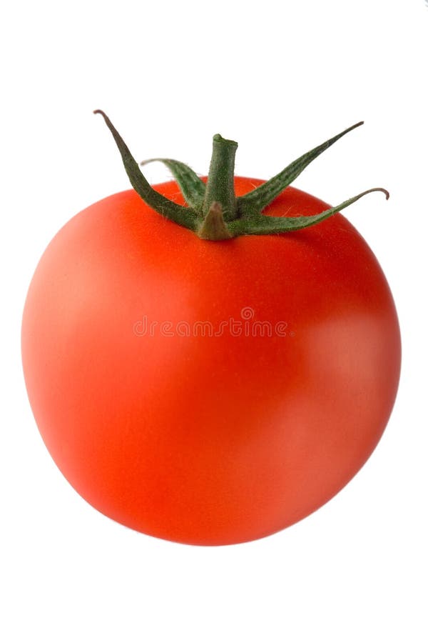 Tomato stock photo. Image of tasty, delicious, healthy - 2663554