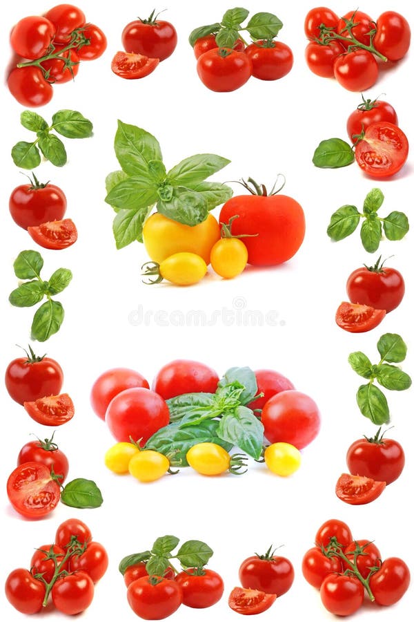 Tomato Sampler stock photo. Image of cook, nutrition, isolate - 7170778