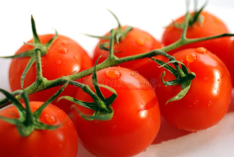 Four Tomatoes stock photo. Image of dessert, food, meal - 18698