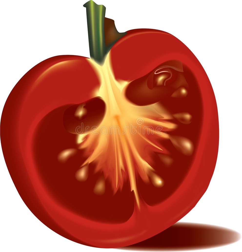 Tomato Inside Stock Illustrations – 3,556 Tomato Inside Stock ...