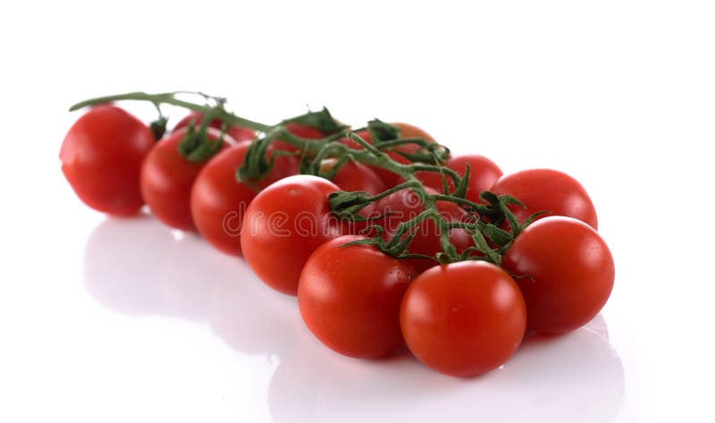 Willful tomato stock image. Image of commitment, isolated - 1764633 Willful tomato stock image. Image of commitment, isolated - 1764633