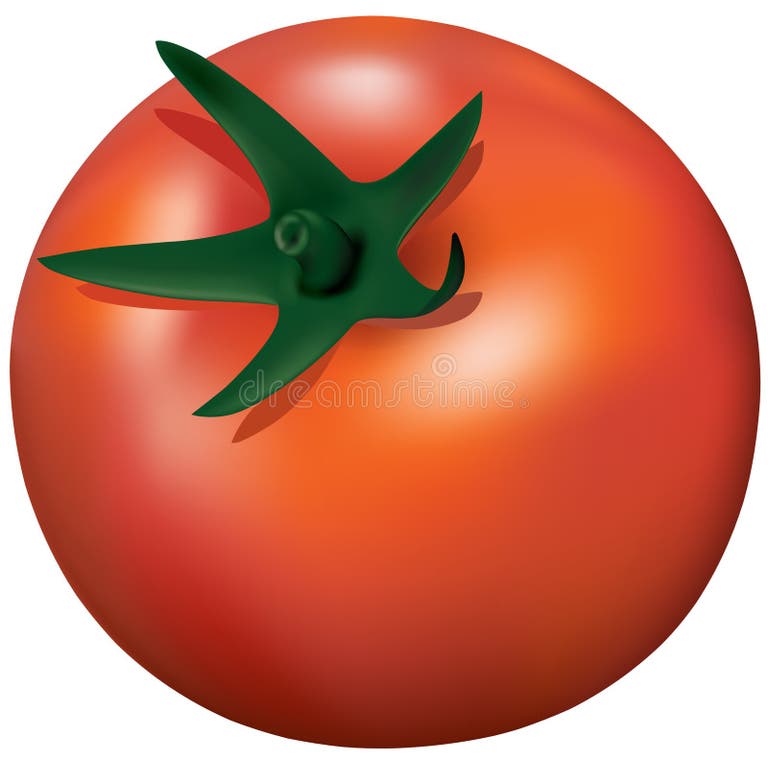 Tomato Shiny Stock Illustrations – 9,789 Tomato Shiny Stock ...