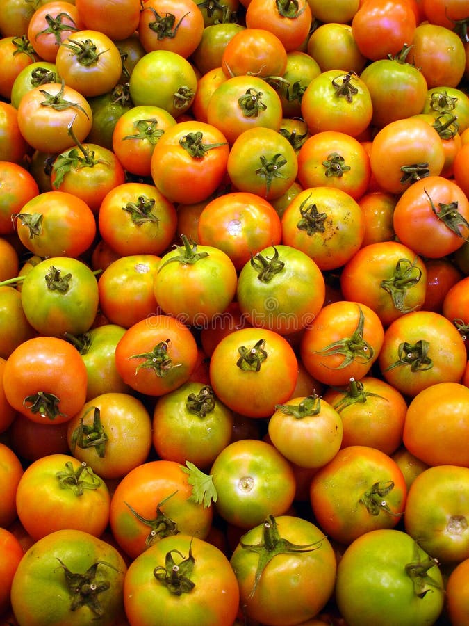 Tomato Background Picture. Image: 1062795