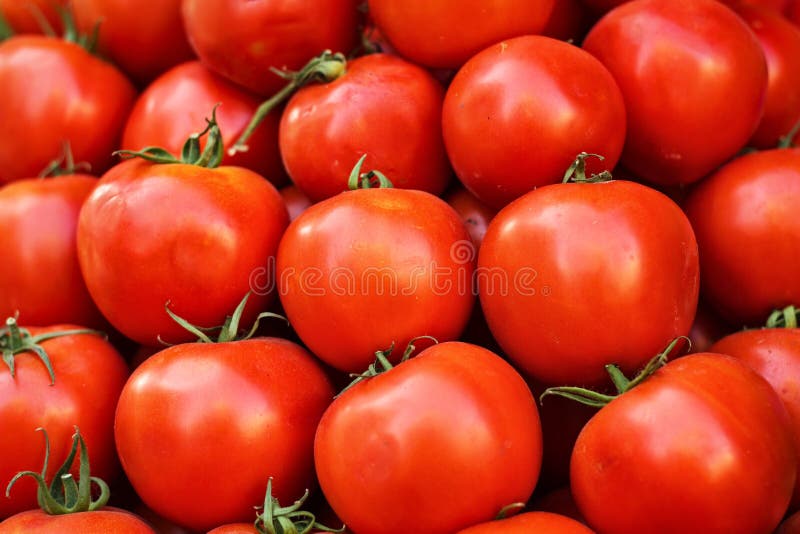 Tomato Backgrounds stock photo. Image of vegetable, tomatoes - 51112010