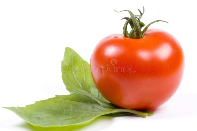 A Ripe Tomato and Some Basil Leafs on a White Background Stock Photo ...