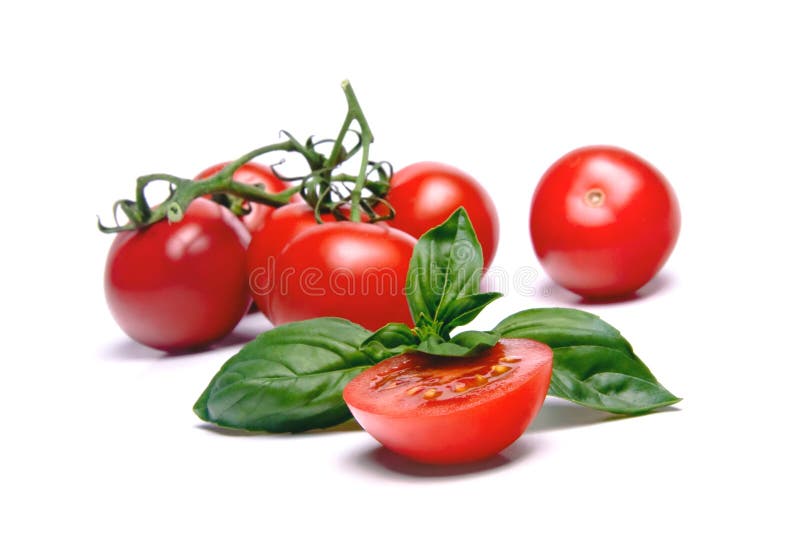 Tomato & Basil stock photo. Image of basalicum, cuisine - 6806536