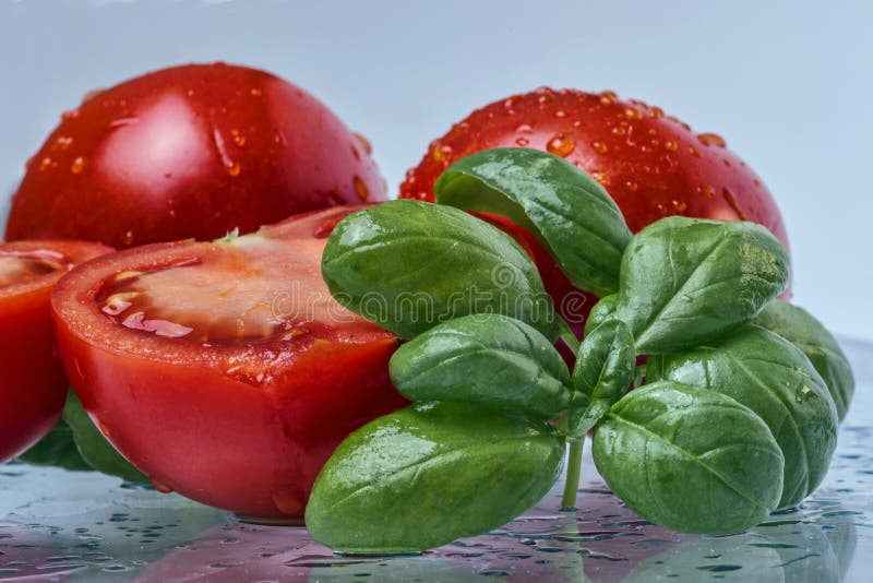 Tomato and Basil stock image. Image of delicious, nice - 52377883
