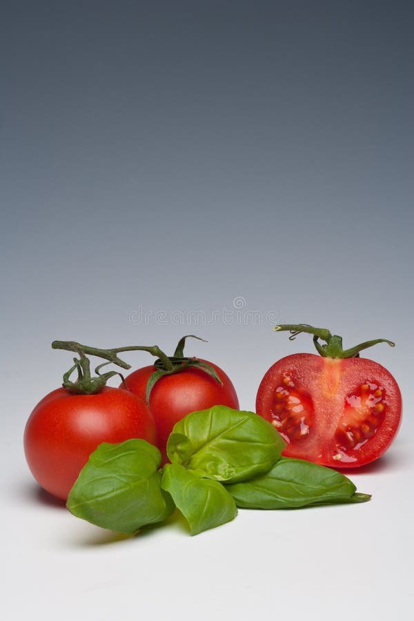 Tomato and Basil herb stock image. Image of diet, life - 13032187