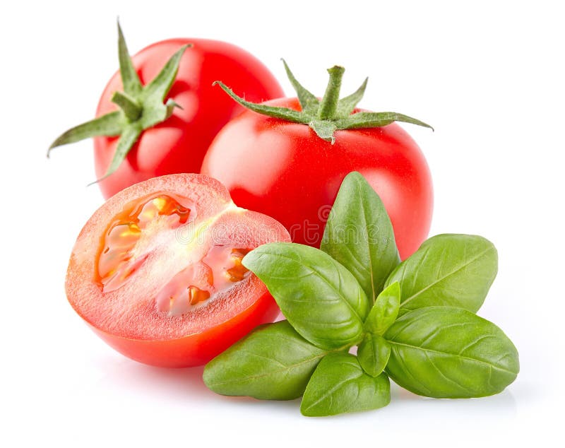 Tomato with basil stock image. Image of tomato, nutrition - 25720769