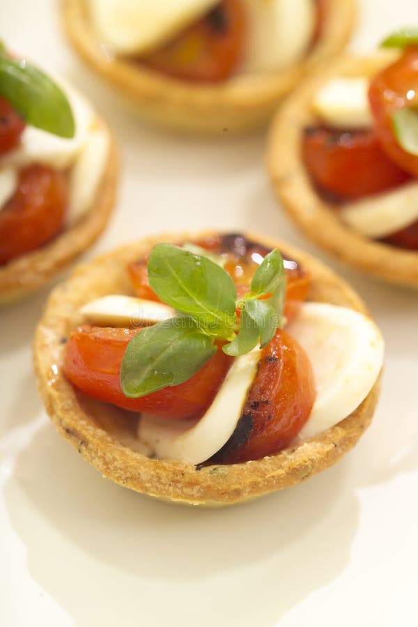 Tomato and bocconcini stock photo. Image of basil, bocconcini - 25131362