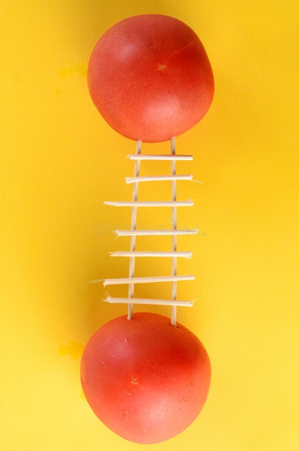 Tomato Bridge a Surreal Food Connection Stock Image - Image of balance ...