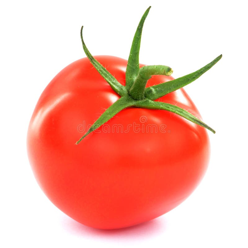 Tomato Clipping Path Included Stock Photo - Image of plant, white: 31145352