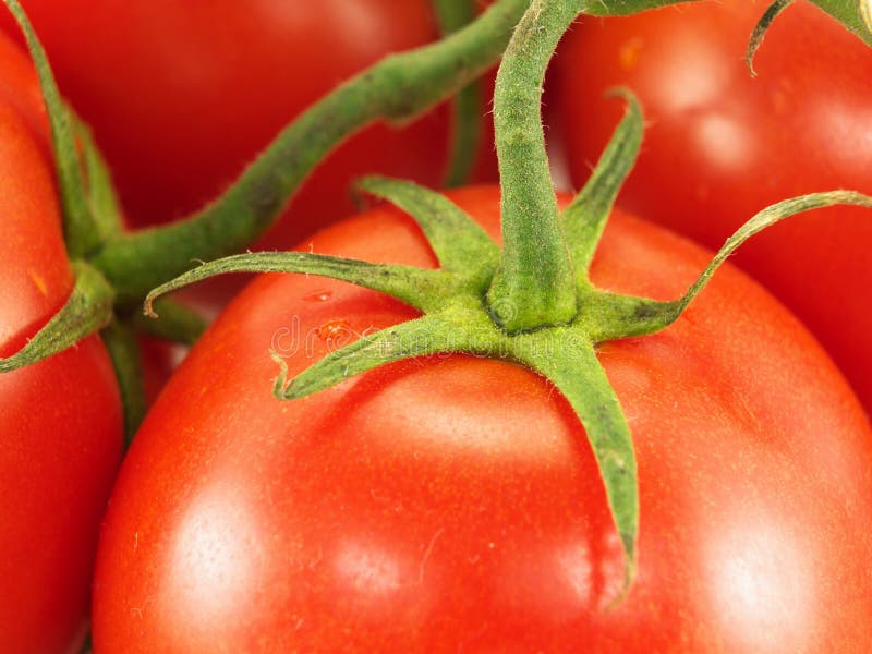 Tomato Close Up Picture. Image: 6202276