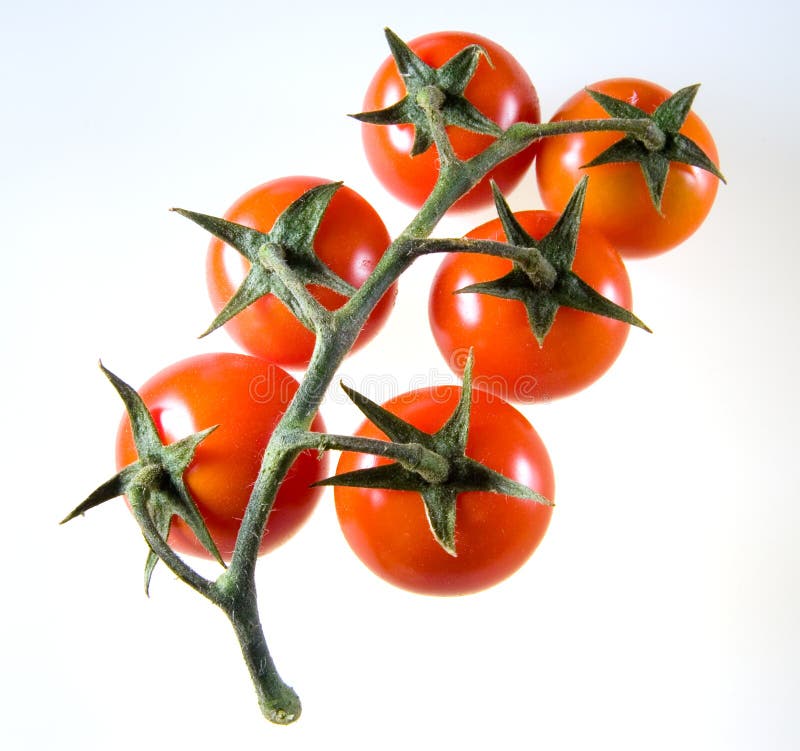 Tomato cluster serie 3 stock image. Image of small, healthy - 881447