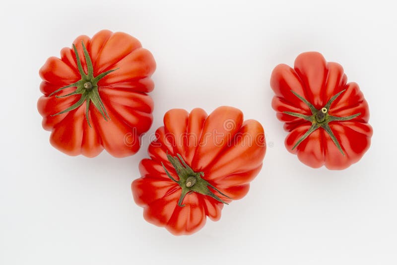 Tomato on the Color Background Stock Photo - Image of healthy, juicy ...