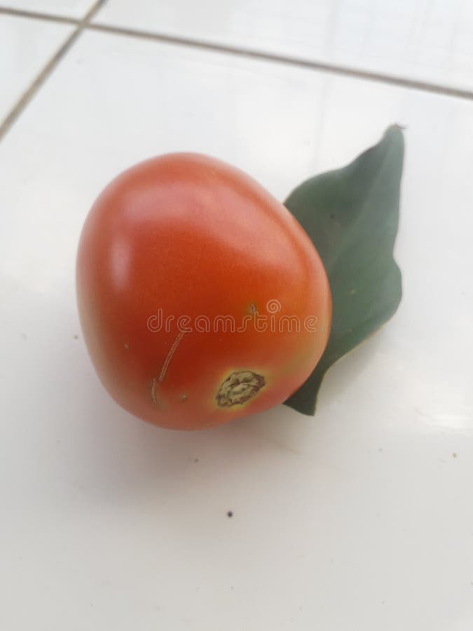 Tomato Colour Red Cool and Beatiful Stock Photo - Image of beatiful ...