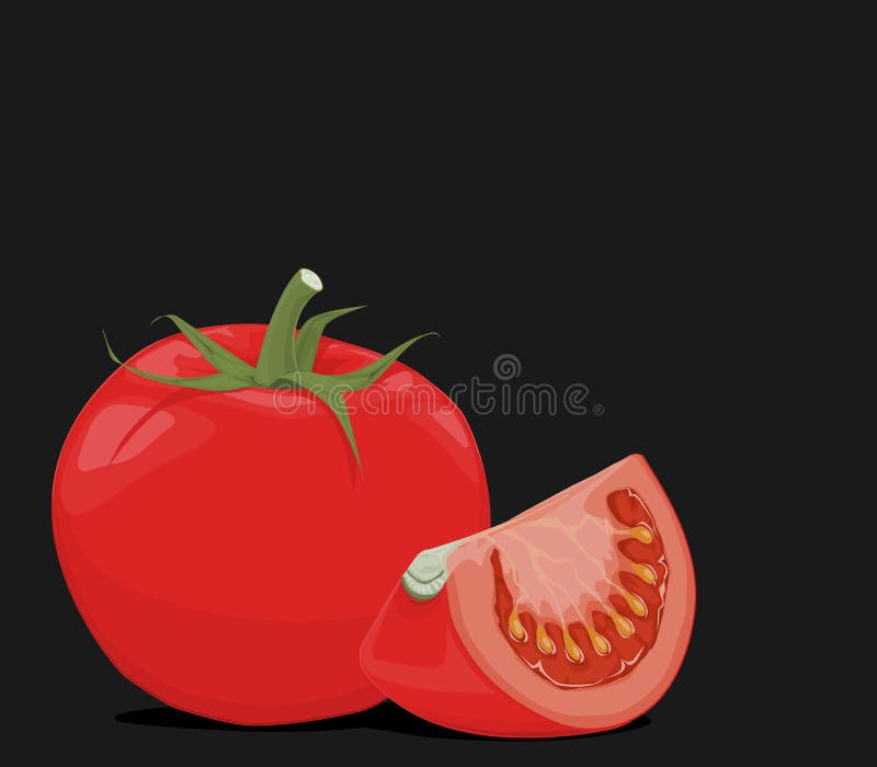 Tomato composition stock vector. Illustration of clean - 95369703