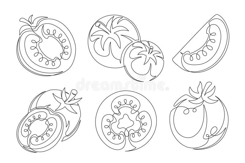 Tomato Continuous One Line Drawing Icon Set Stock Illustration ...