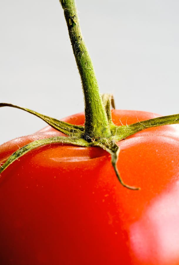 Tomato detail stock image. Image of copyspace, structured - 35746877