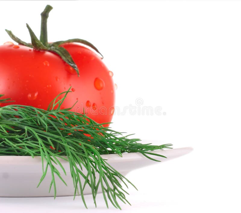 Tomato and dill stock photo. Image of arrangement, plant - 11514376