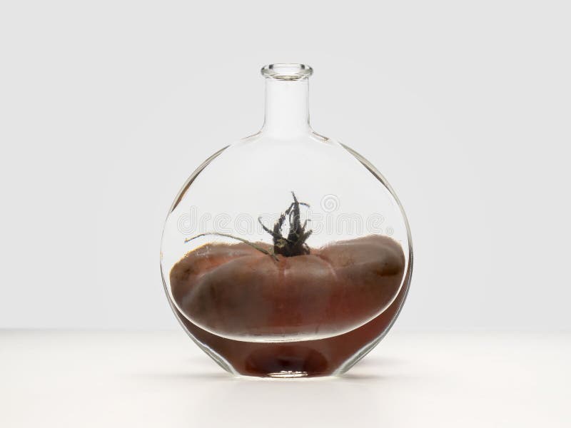 Tomato Distorted through a Bottle of Water - Refraction Example ...