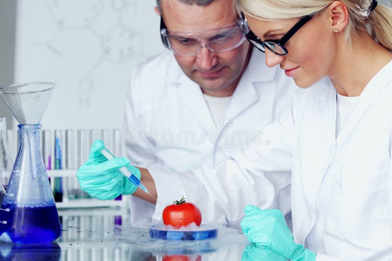 Tomato DNA stock photo. Image of doctor, food, scientific - 28406704