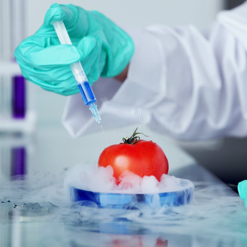 Tomato DNA change stock image. Image of protective, hand - 21117863