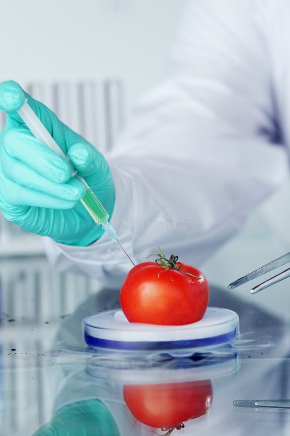 Tomato DNA change stock image. Image of cooking, diet - 28406703