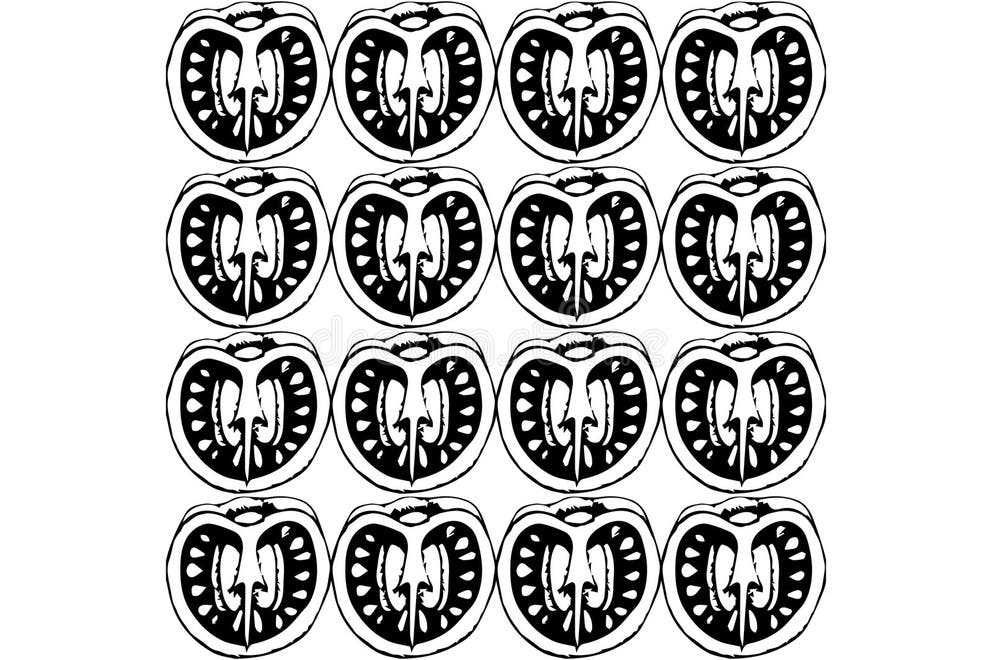 Tomato in Doodle Style. Rich Harvest. Vector Illustration Stock Vector ...