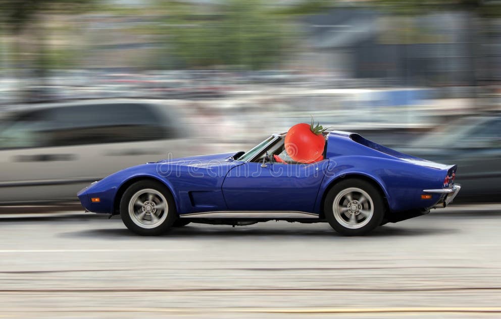 Tomato drives car stock image. Image of profile, natural - 20827223