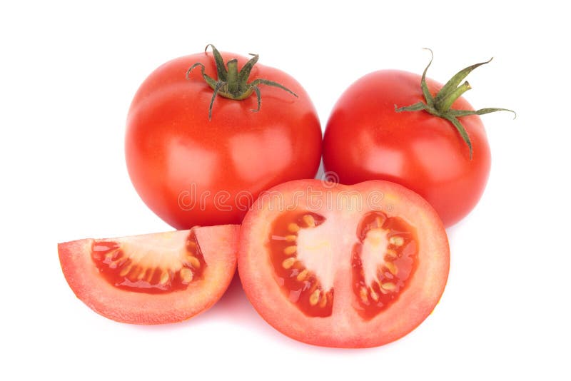 Tomato Growth Evolution Progress Set Isolated on White Background Stock ...