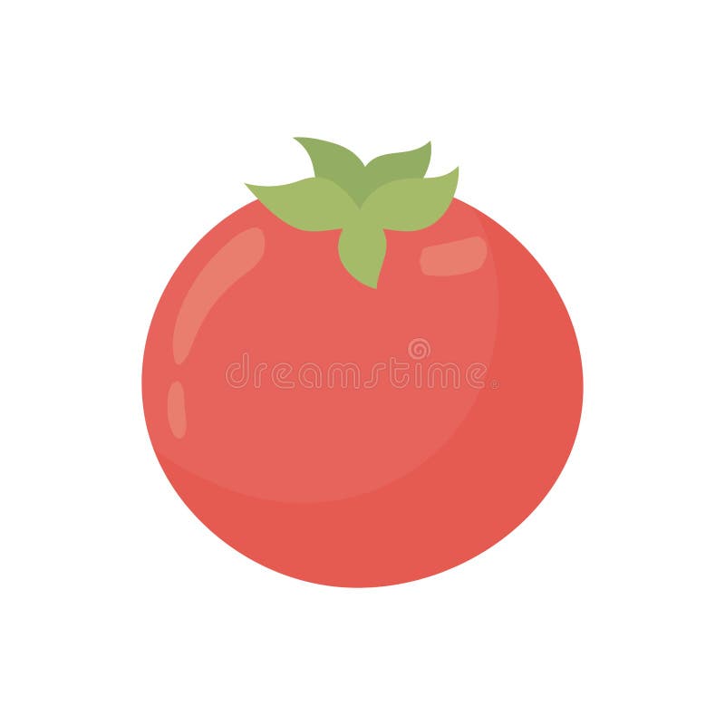 Tomato fresh icon stock vector. Illustration of fresh - 234968925