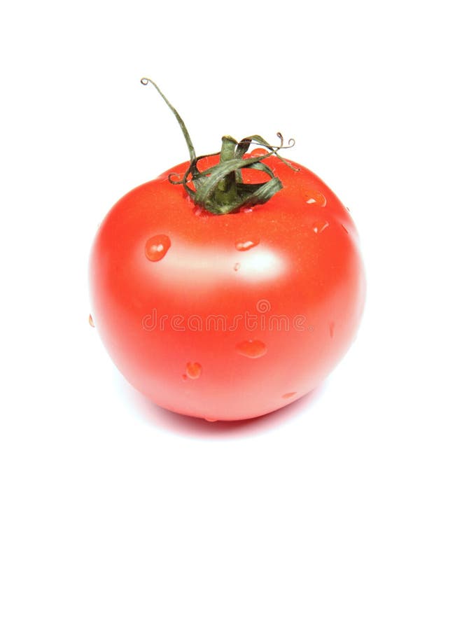Tomato - fresh red tomato stock image. Image of freshness - 12289323