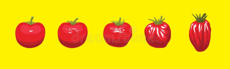 Tomato Fresh Rotten Sequence Set Cartoon Vector Illustration Vektor ...
