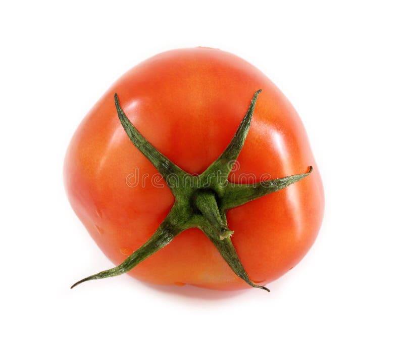 Tomato is fruit. stock image. Image of tomato, food, nature - 47149225