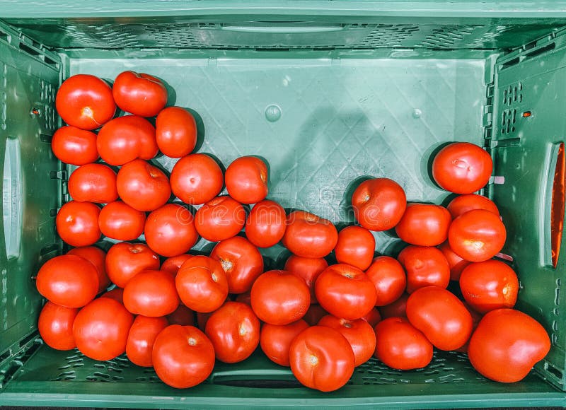 The Tomato is a Fruit that Has Culinary Importance and is a Vegetable ...