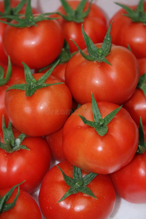 Tomato fruits stock image. Image of roundtomato, sweet - 82755643