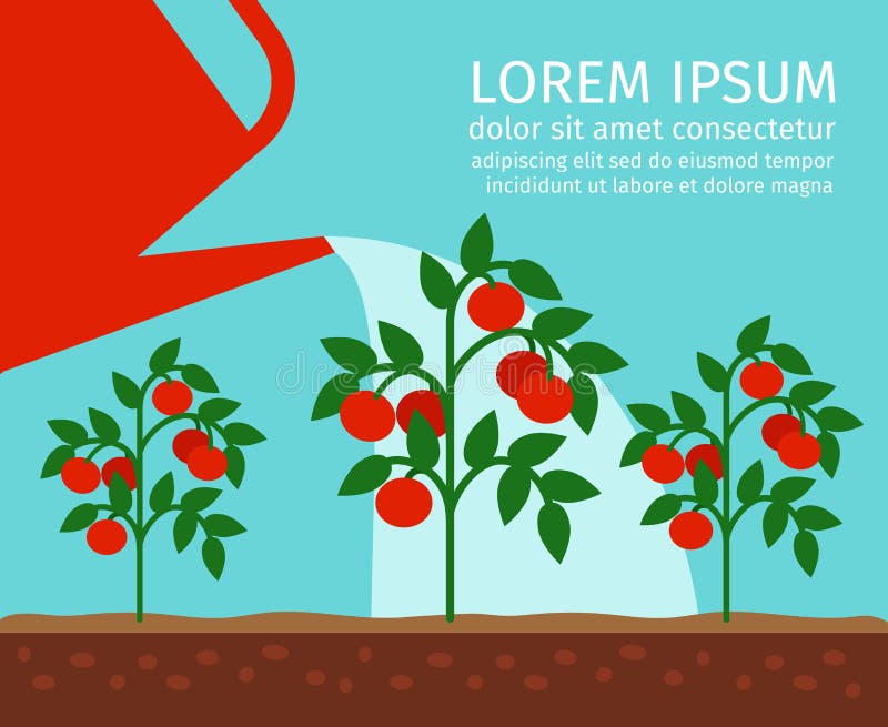 Garden vector set stock vector. Illustration of cartoon - 23768966
