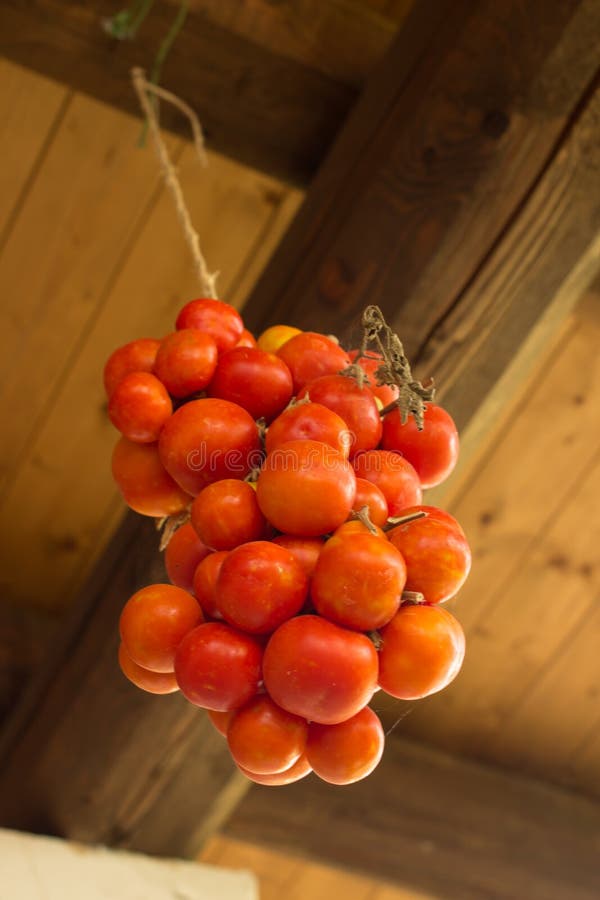 Tomato grape from ceiling stock image. Image of healthy - 44628917