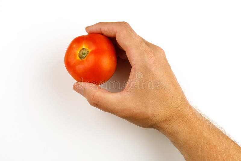 Tomato in Hand Isolate. Vegetable Holding Hand Stock Image - Image of ...